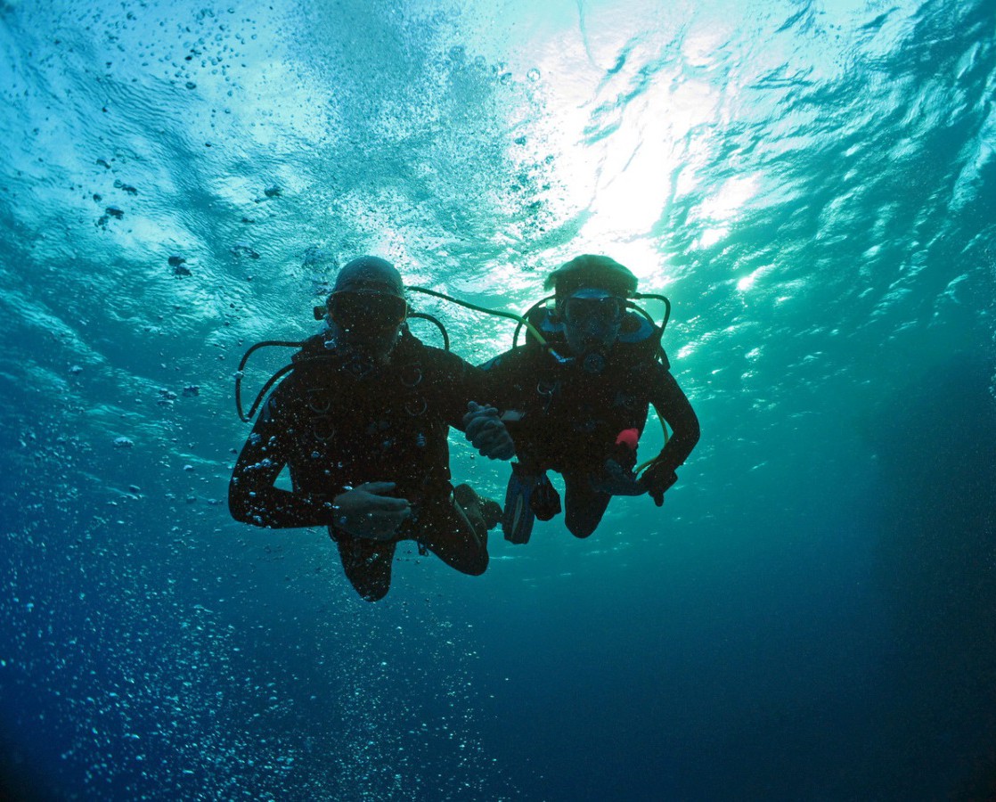 Your diving center in St-Barts - Serial Divers