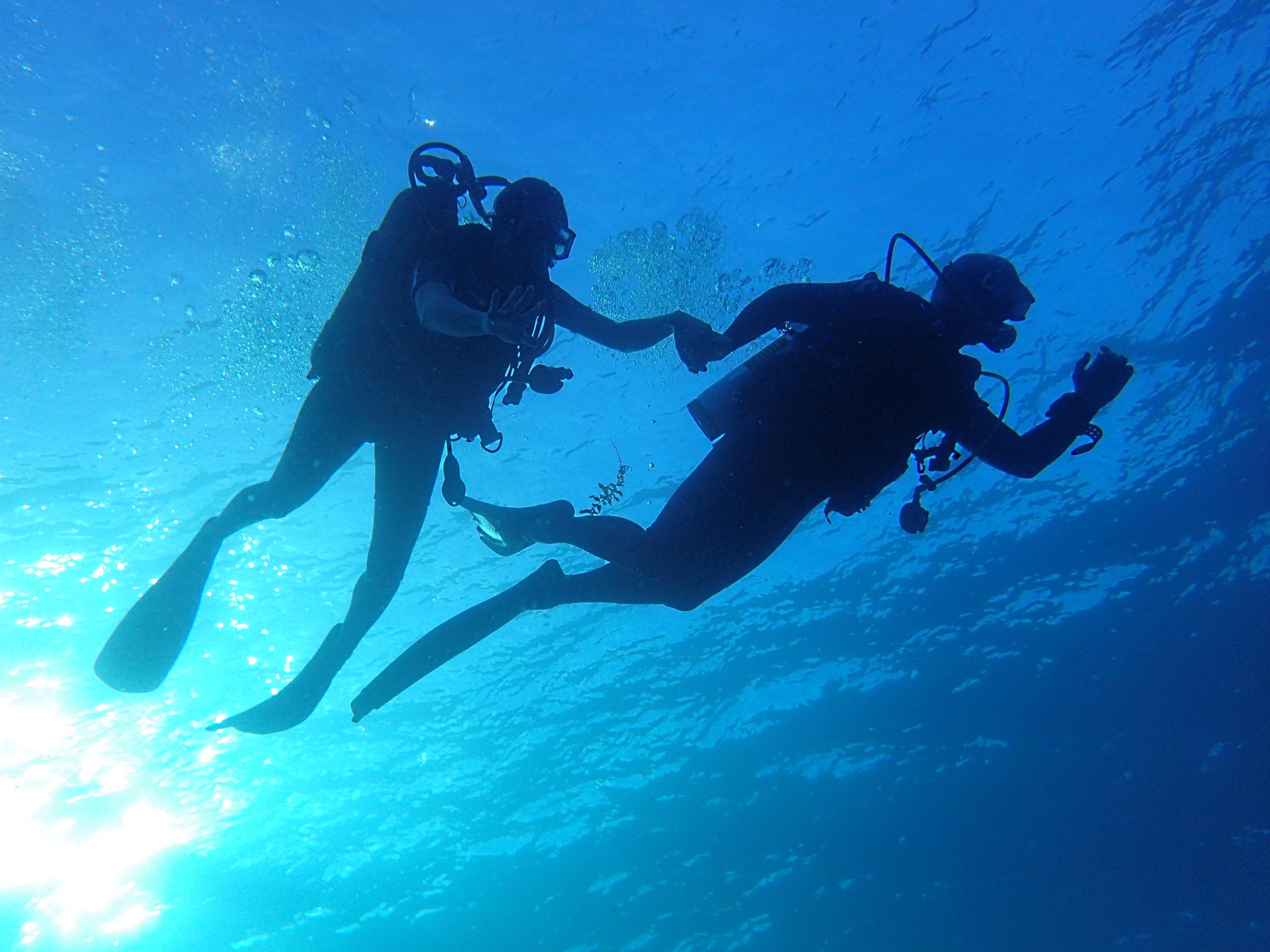 SUMMER DISCOUNT - Serial Divers